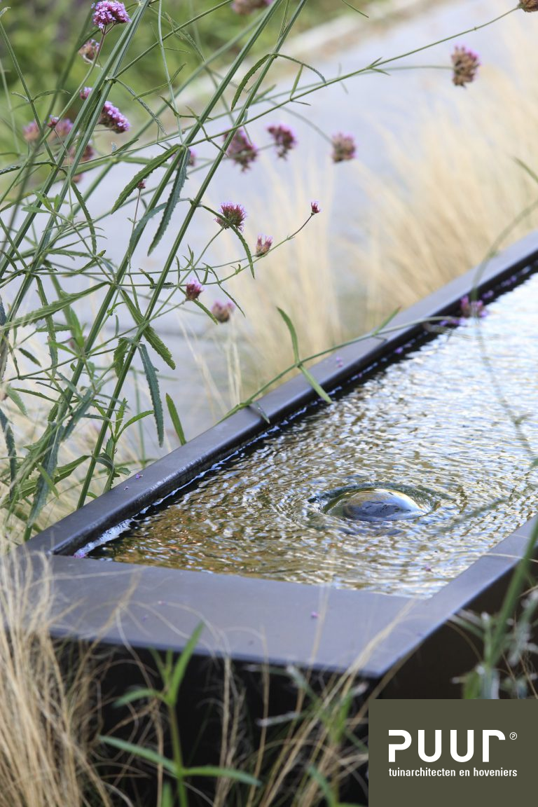 Kleine tuin met waterpartij | Bekijk project - PUUR Groen